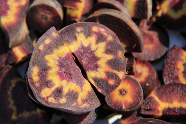 Colorful and Cutting Edge: New Carrot Varieties Take Root - Organic ...