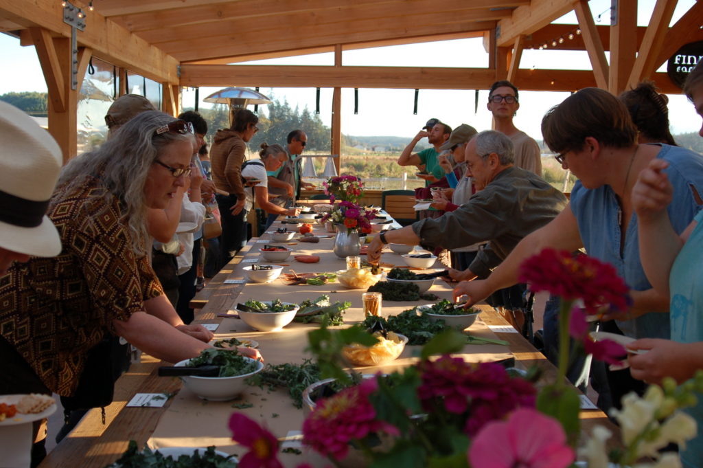 Community Field Day and Variety Tasting -- Organic Seed Alliance