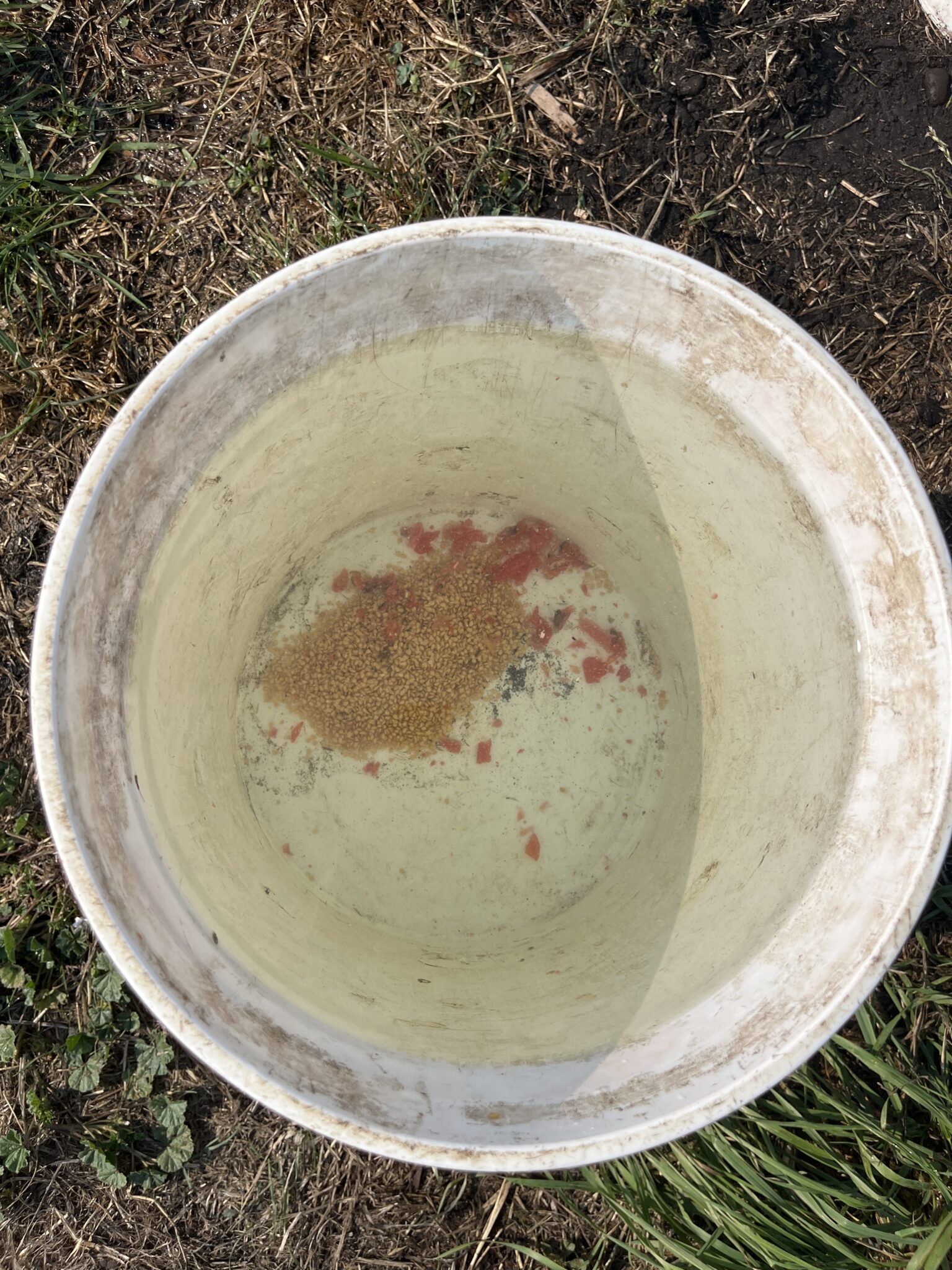 Seed Cleaning Toolkit - Organic Seed Alliance